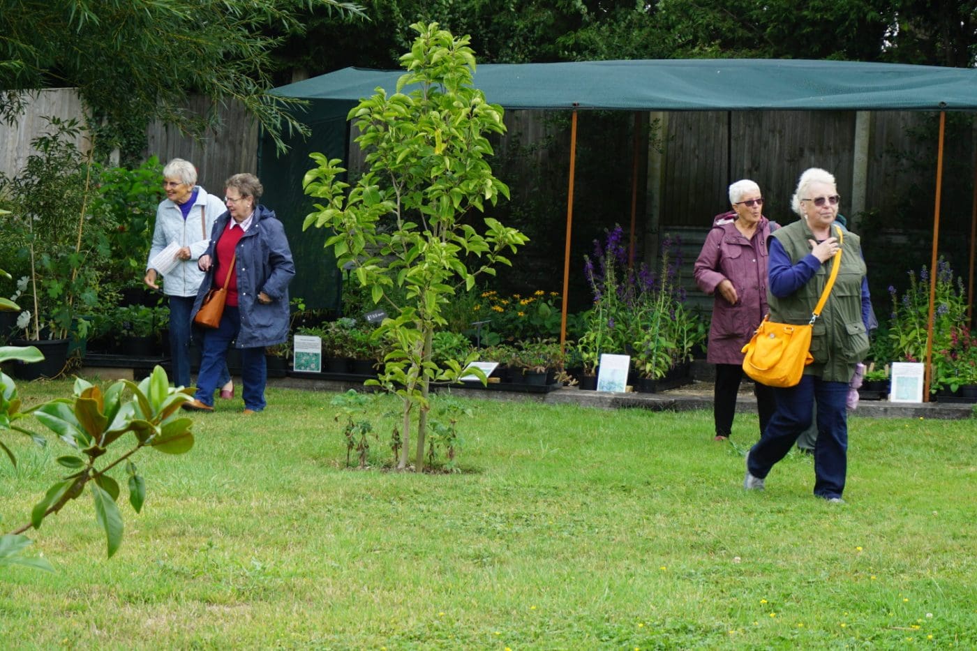 NGS - National Open Garden Scheme in Whitstable - Enchanted Gardens Kent