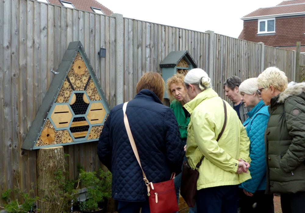 NGS - National Open Garden Scheme in Whitstable 2019 - Enchanted ...