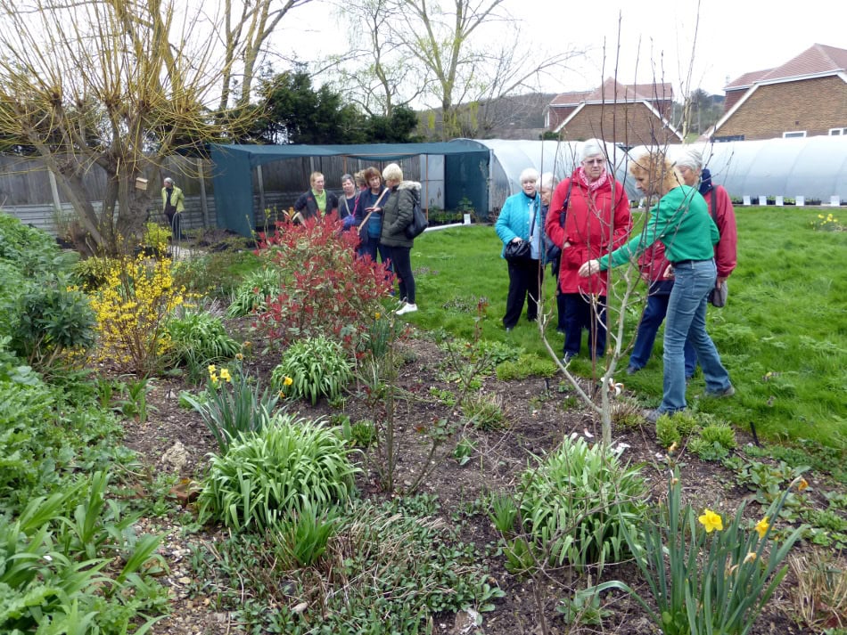 NGS - National Open Garden Scheme in Whitstable 2019 - Enchanted ...