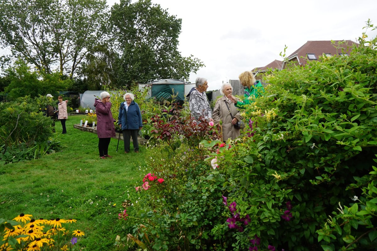 NGS - National Open Garden Scheme in Whitstable 2019 - Enchanted ...