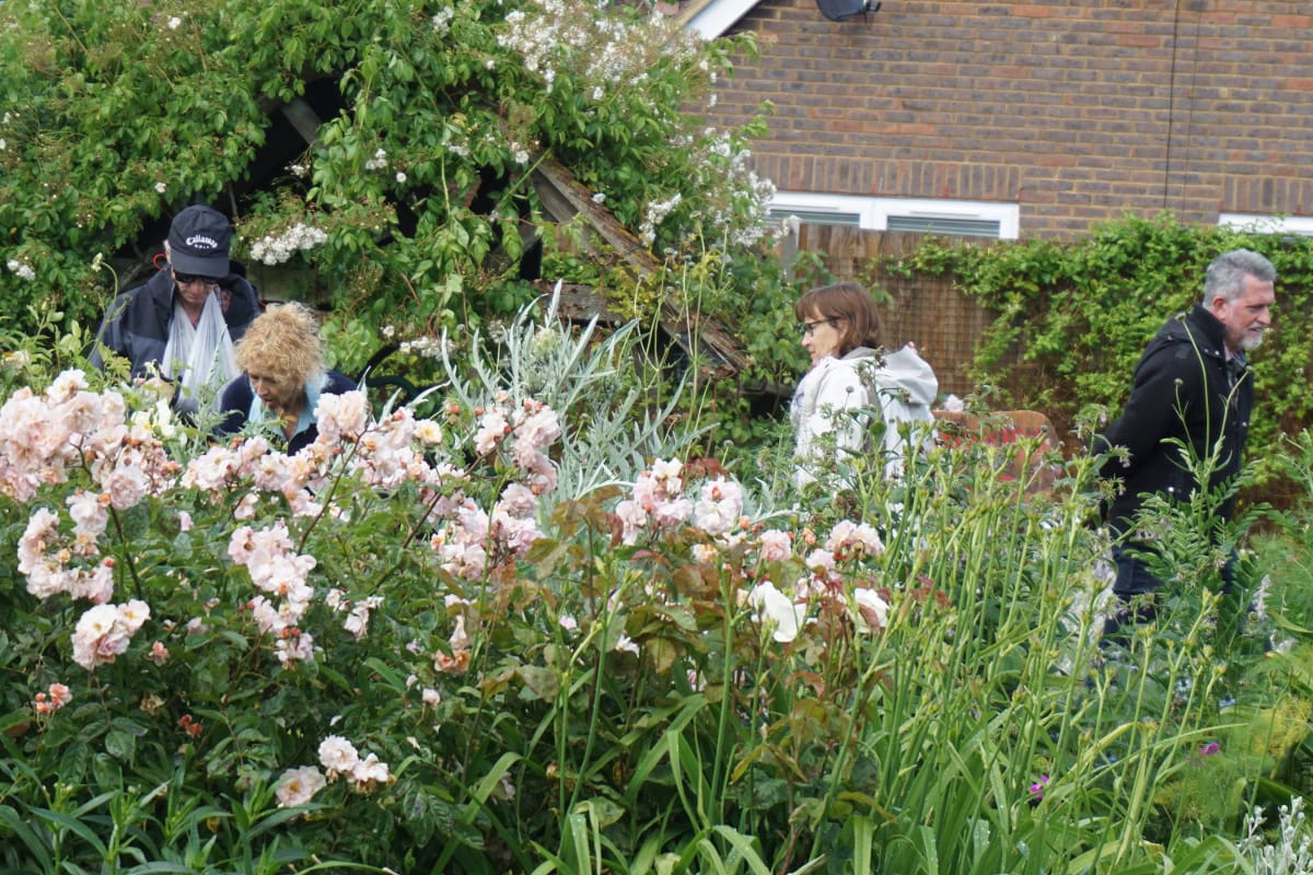 NGS - National Open Garden Scheme in Whitstable - Enchanted Gardens Kent