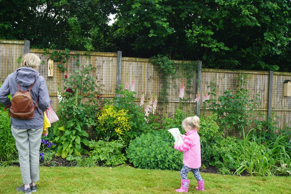 NGS - National Open Garden Scheme in Whitstable - Enchanted Gardens Kent