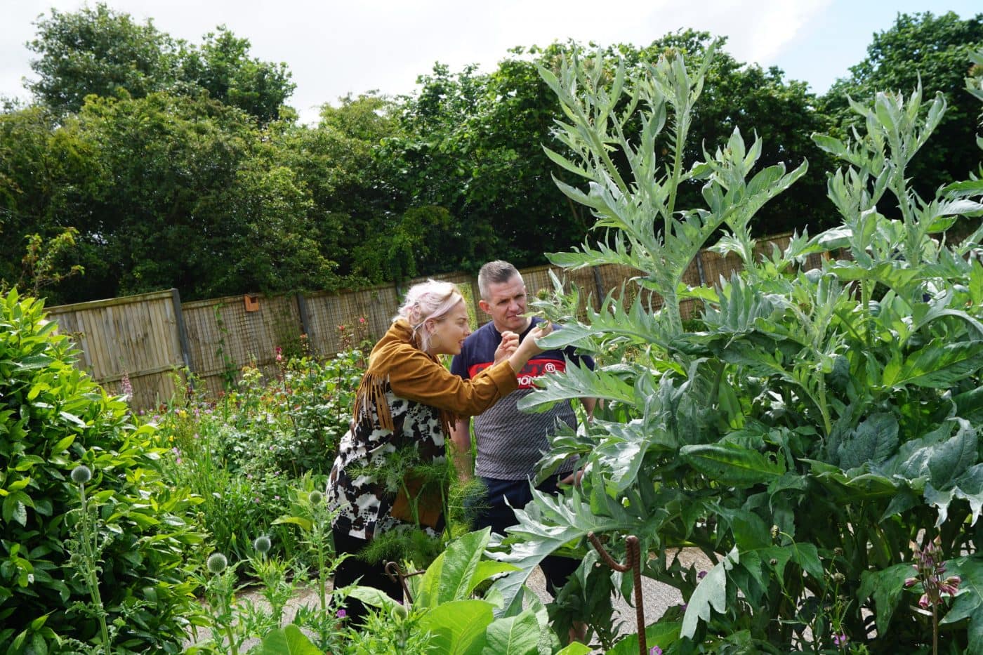 NGS - National Open Garden Scheme in Whitstable - Enchanted Gardens Kent