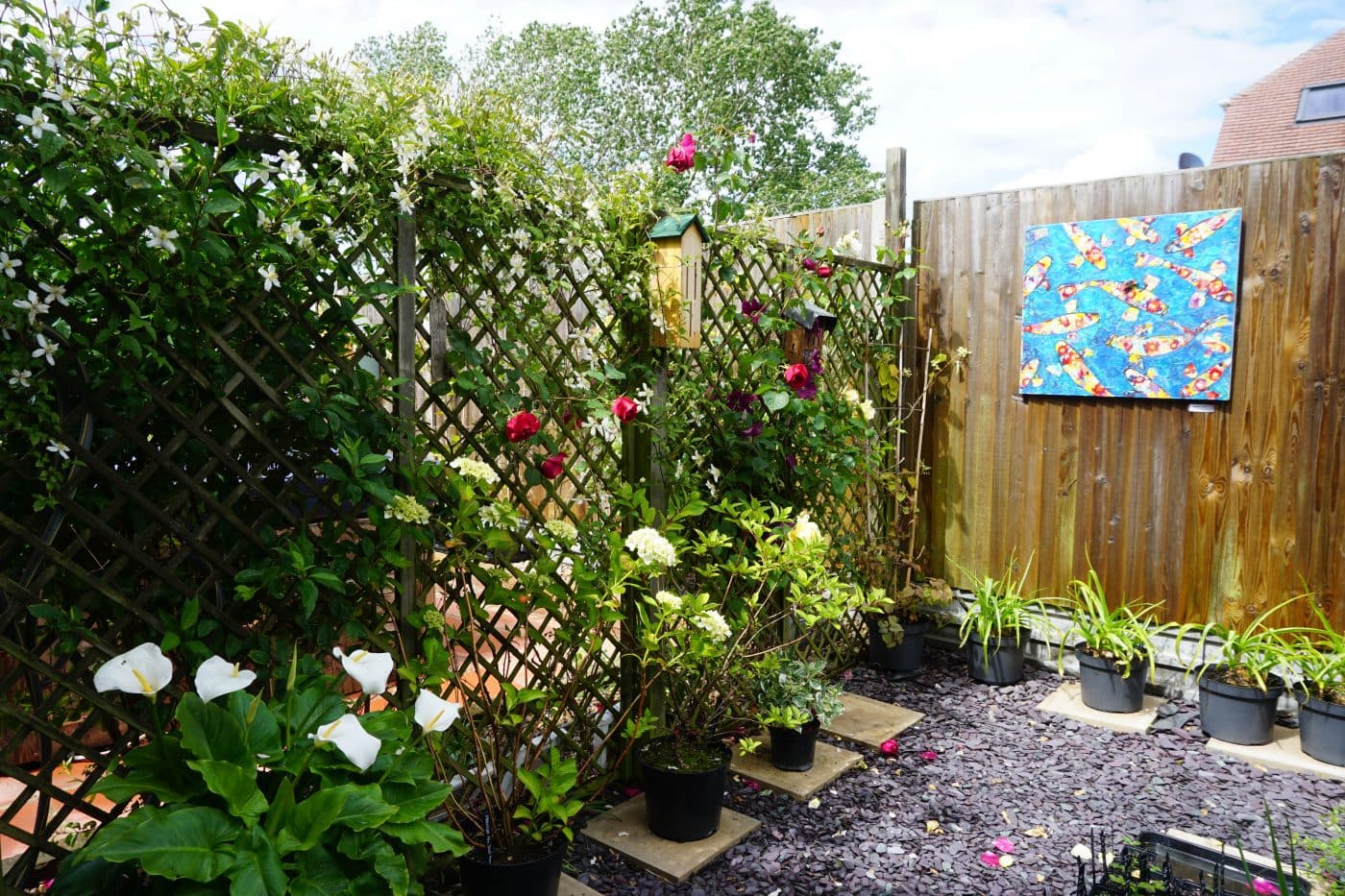 NGS - National Open Garden Scheme in Whitstable 2019 - Enchanted ...
