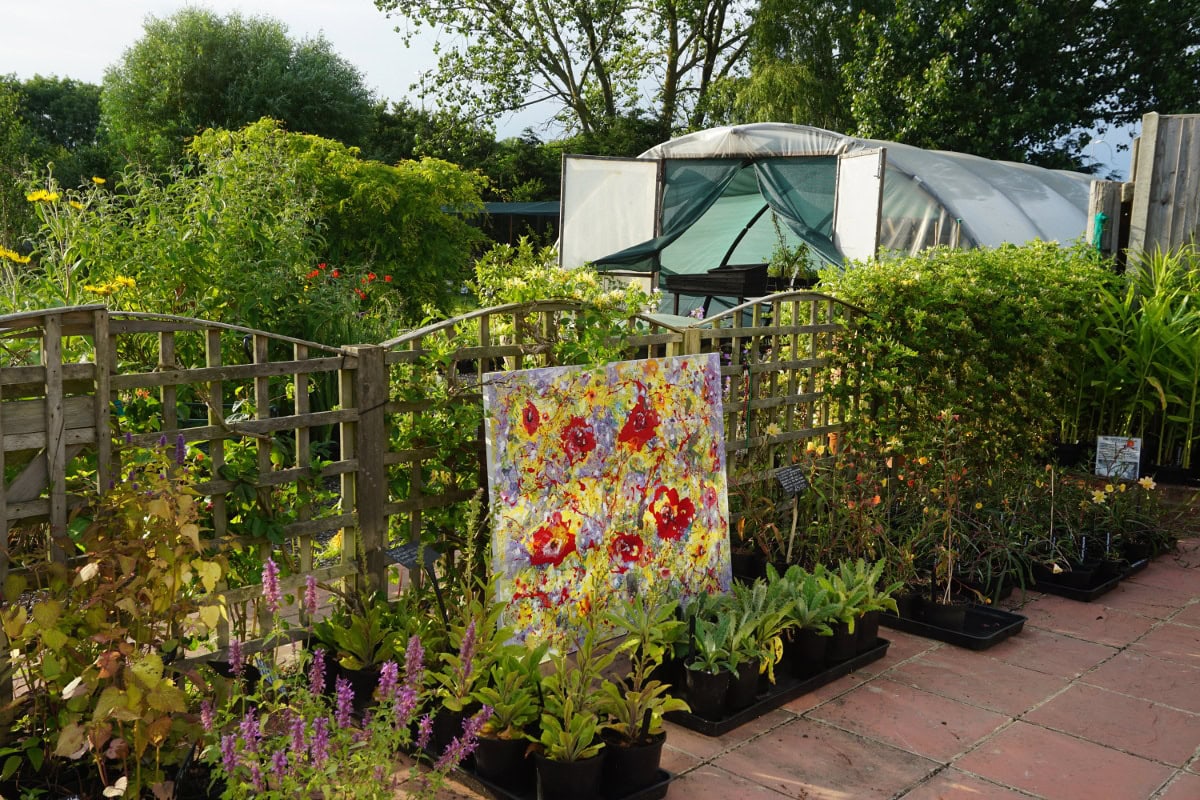 NGS - National Open Garden Scheme in Whitstable 2019 - Enchanted ...