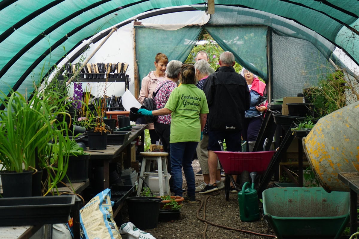 NGS - National Open Garden Scheme in Whitstable - Enchanted Gardens Kent