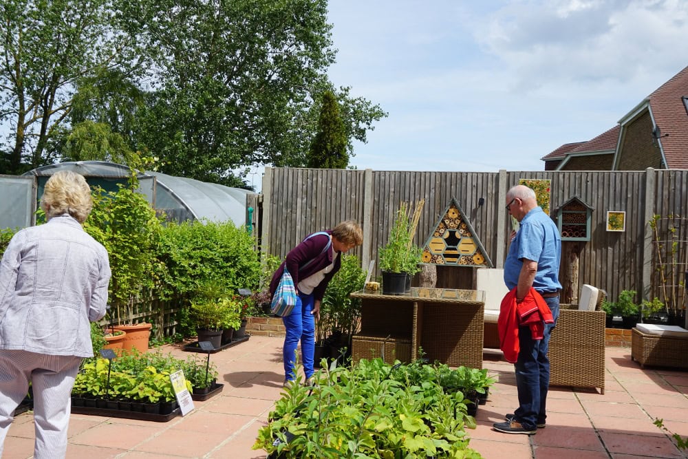 NGS - National Open Garden Scheme in Whitstable 2019 - Enchanted ...