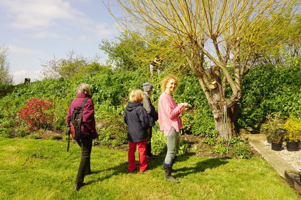 NGS - National Open Garden Scheme in Whitstable 2019 - Enchanted ...