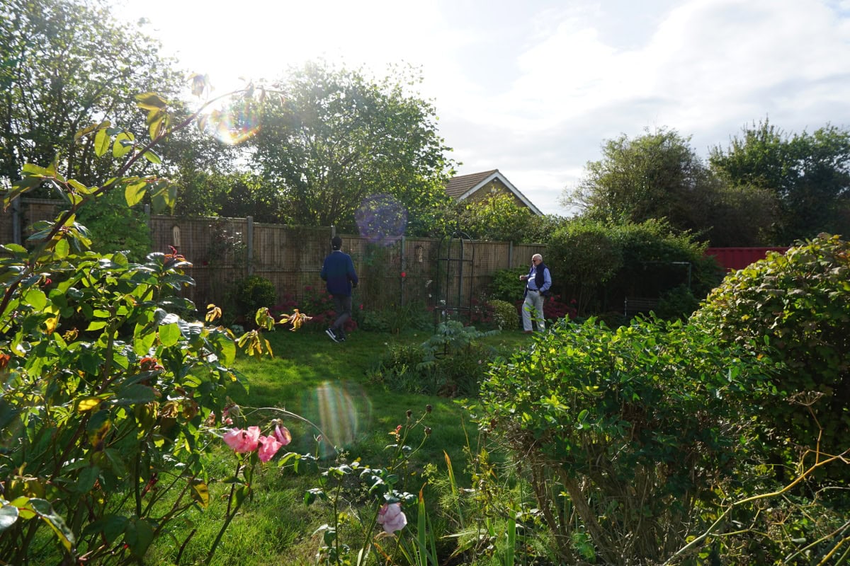 NGS - National Open Garden Scheme in Whitstable 2019 - Enchanted ...