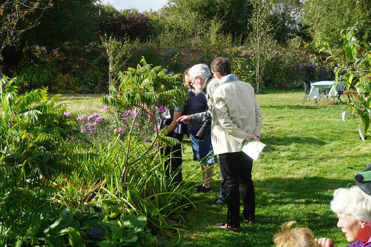 NGS - National Open Garden Scheme in Whitstable 2019 - Enchanted ...