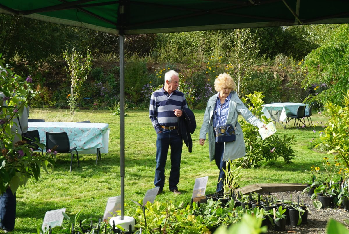 NGS - National Open Garden Scheme in Whitstable 2019 - Enchanted ...