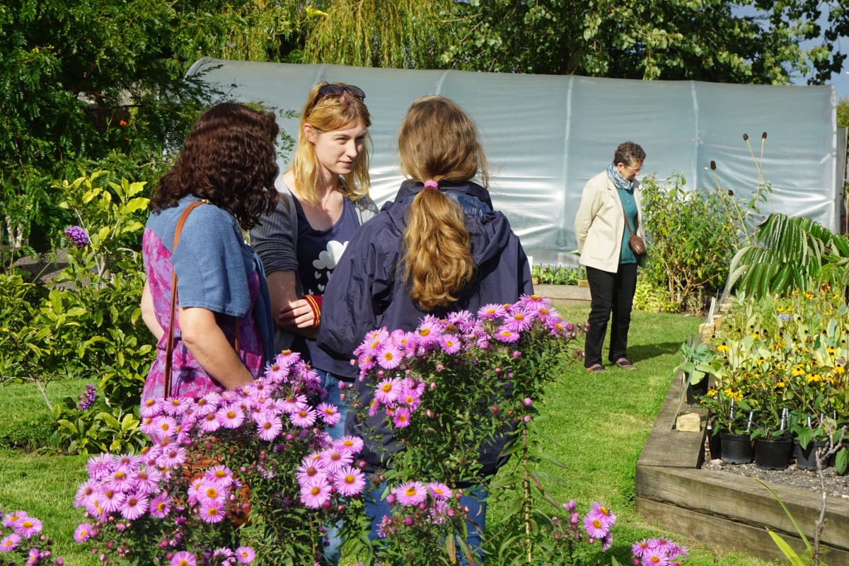 NGS - National Open Garden Scheme in Whitstable 2019 - Enchanted ...