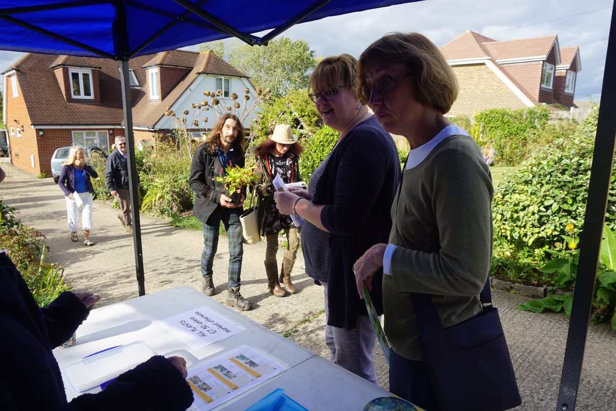 NGS - National Open Garden Scheme in Whitstable 2019 - Enchanted ...