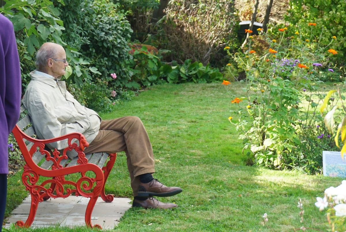 NGS - National Open Garden Scheme in Whitstable 2019 - Enchanted ...